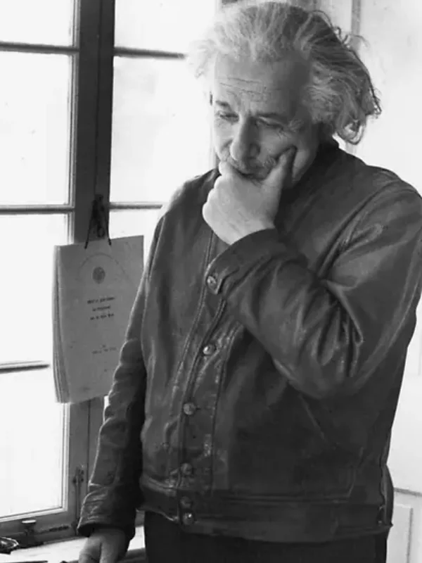 LVC Einstein Jacket | Menlo Cossack Levis Einstein Jacket